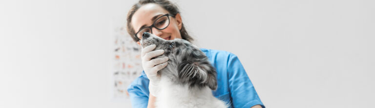 Veterinarijos akademija - LSMU