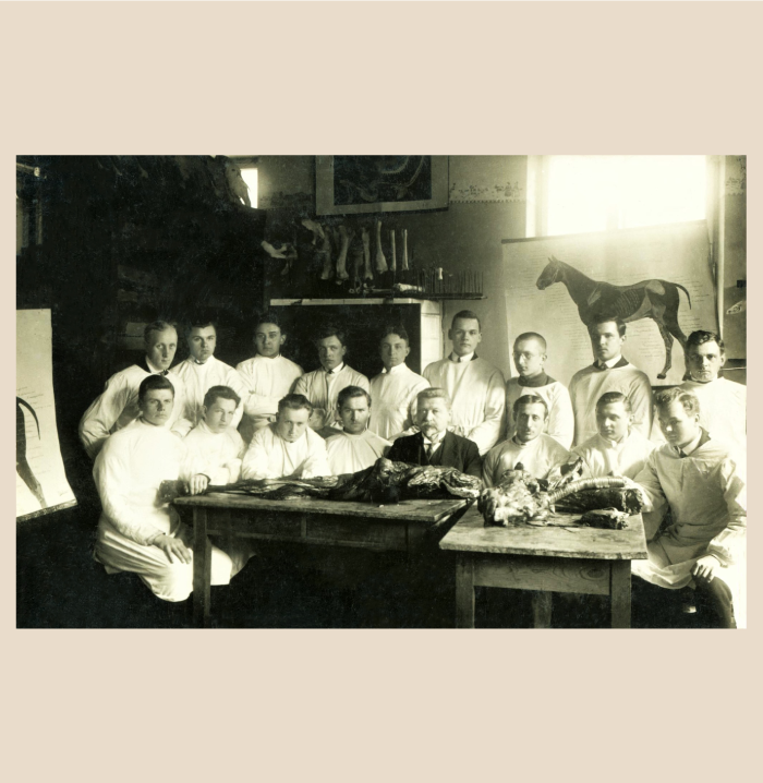 Lietuvos universiteto Medicinos fakulteto Veterinarijos skyriaus ...