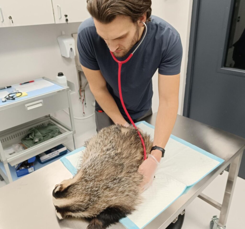 Laukinių gyvūnų globos centras - LSMU